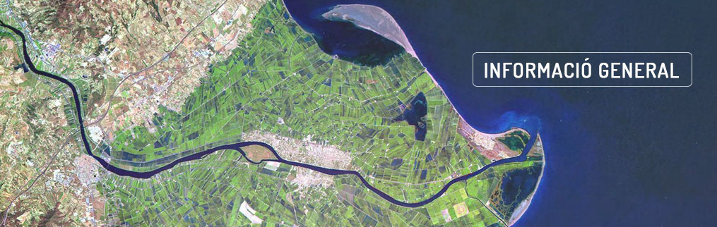 deltebre - Ajuntament de Deltebre